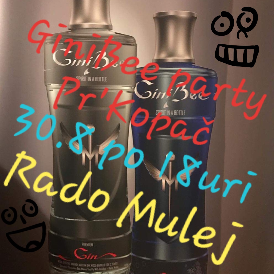 GineBee party in Rado Mulej - Gostilna Pr Kopač